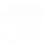 Understanding the M523 Pill: Uses, Dosage, and Important Information